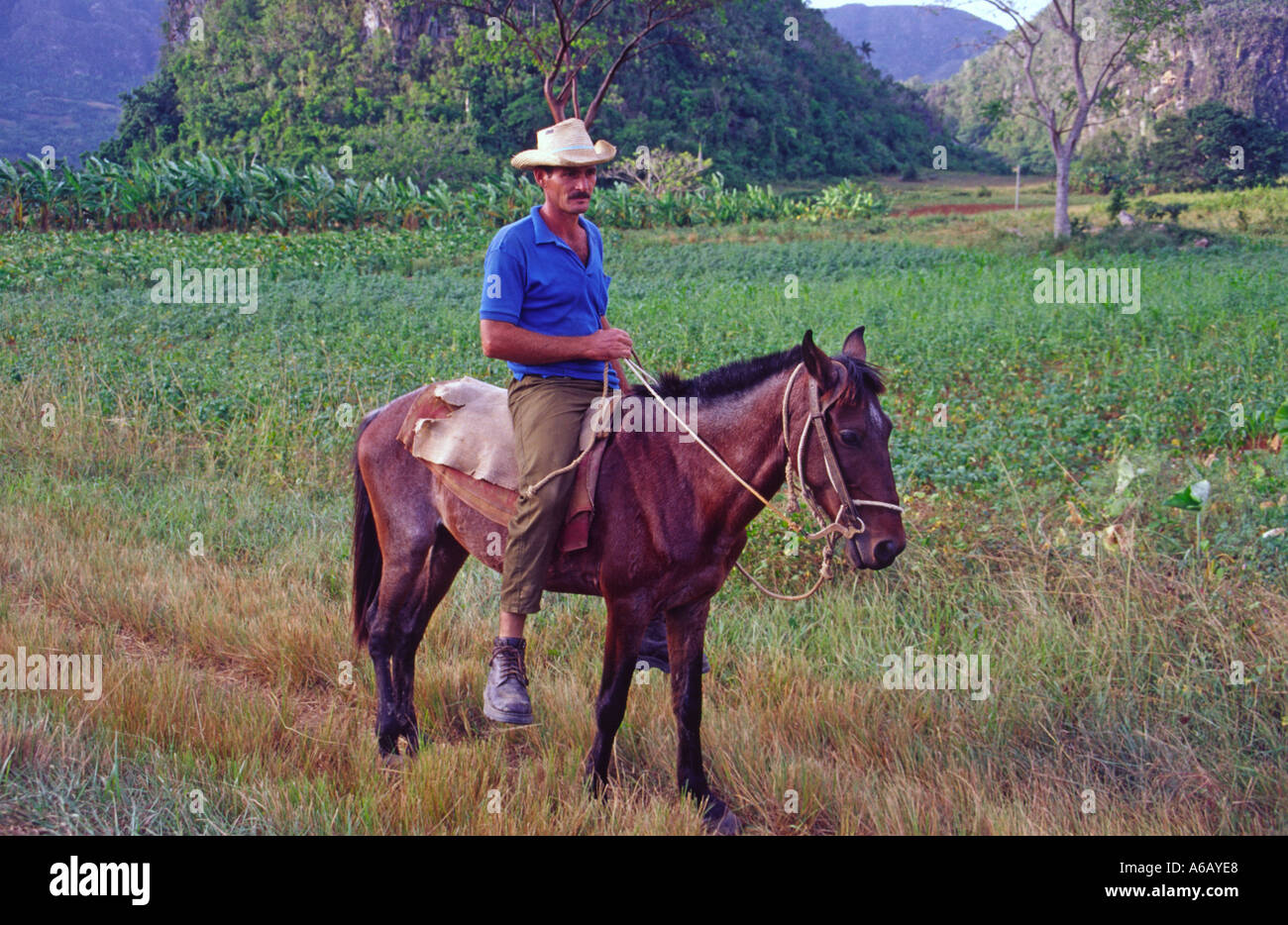 A farmer riding a horse in Vinales in the Pinar del Rio Province in ...