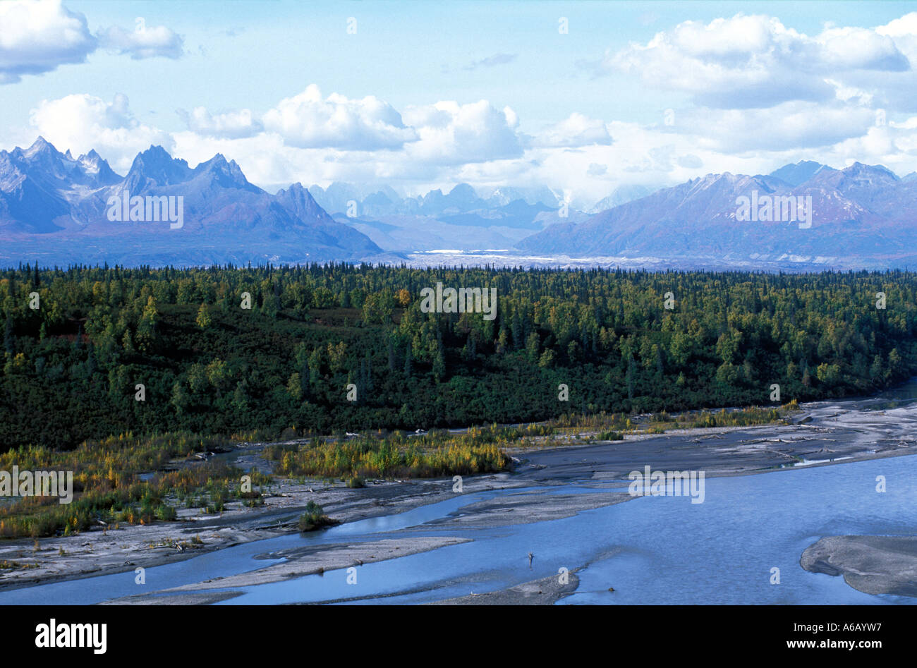 View of forest and mountains of Denali State Park Alaska Stock Photo ...