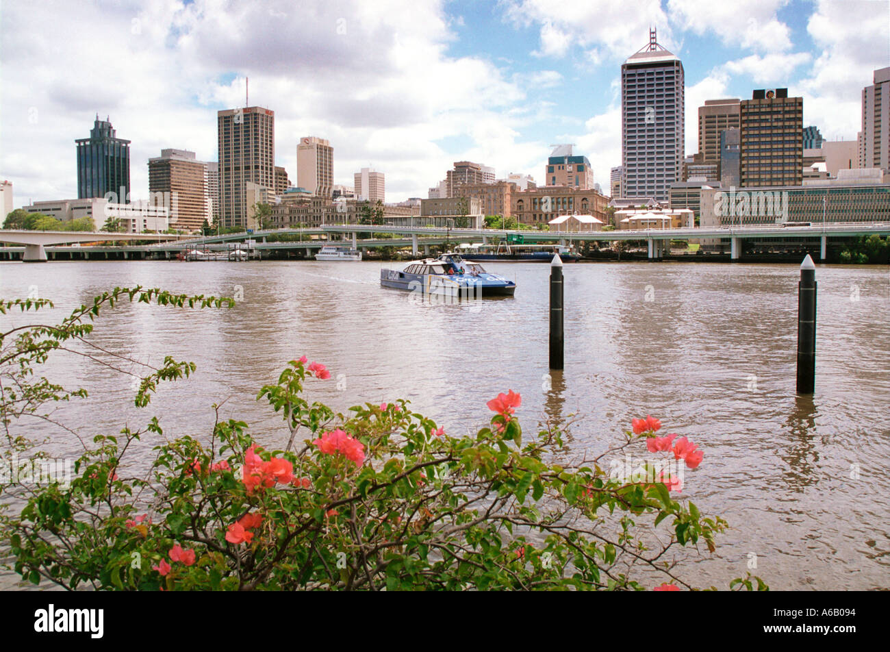 Brisbane river brown hi-res stock photography and images - Alamy