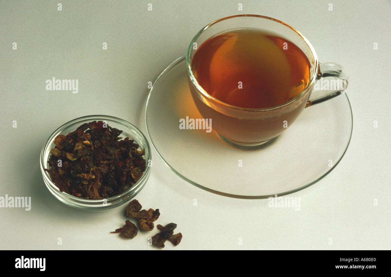 tea made of hips rose hip tea Stock Photo - Alamy