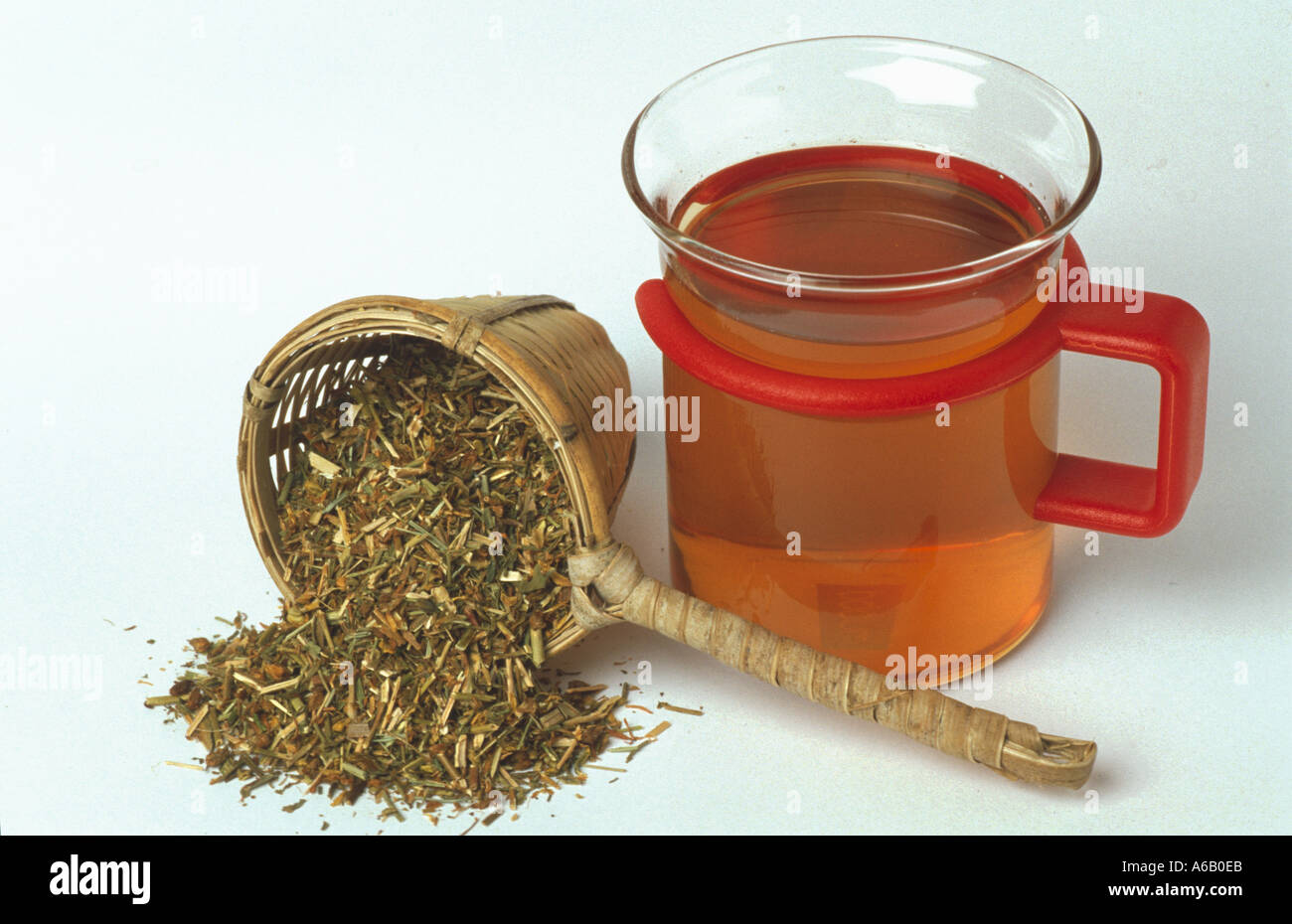 tea of St John's wort, Hypericum perforatum, also known as Tipton's ...