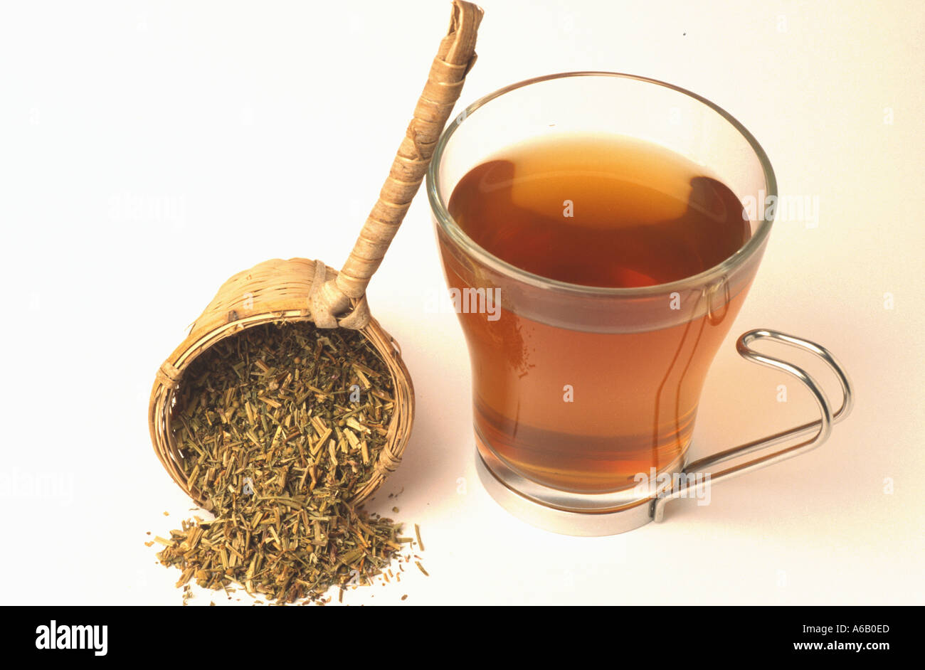 tea erdrauch fumaria officinalis tea fumitory Stock Photo - Alamy