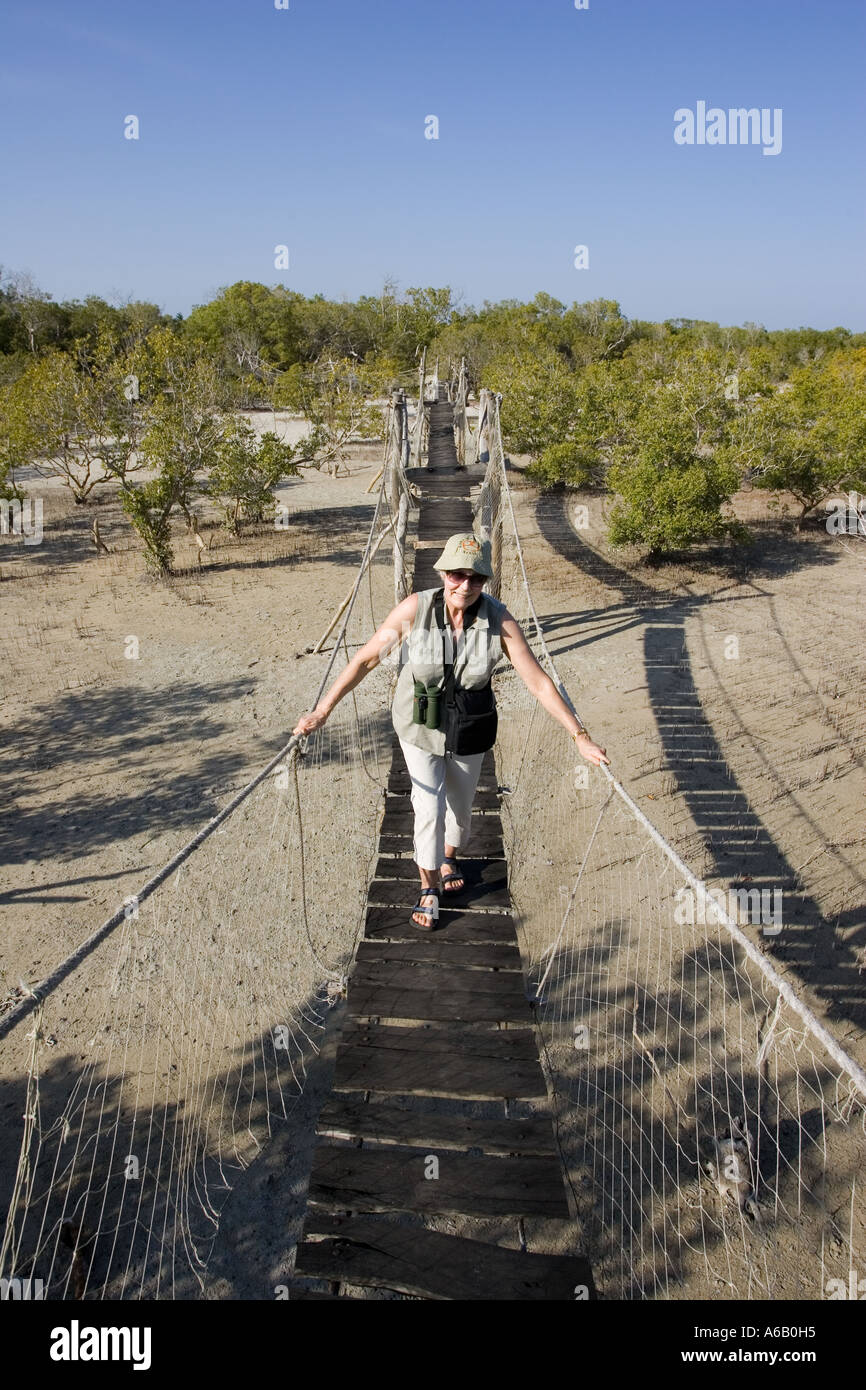 Tourist balancing on aerial boardwalk over mangroves at Mida Creek near ...