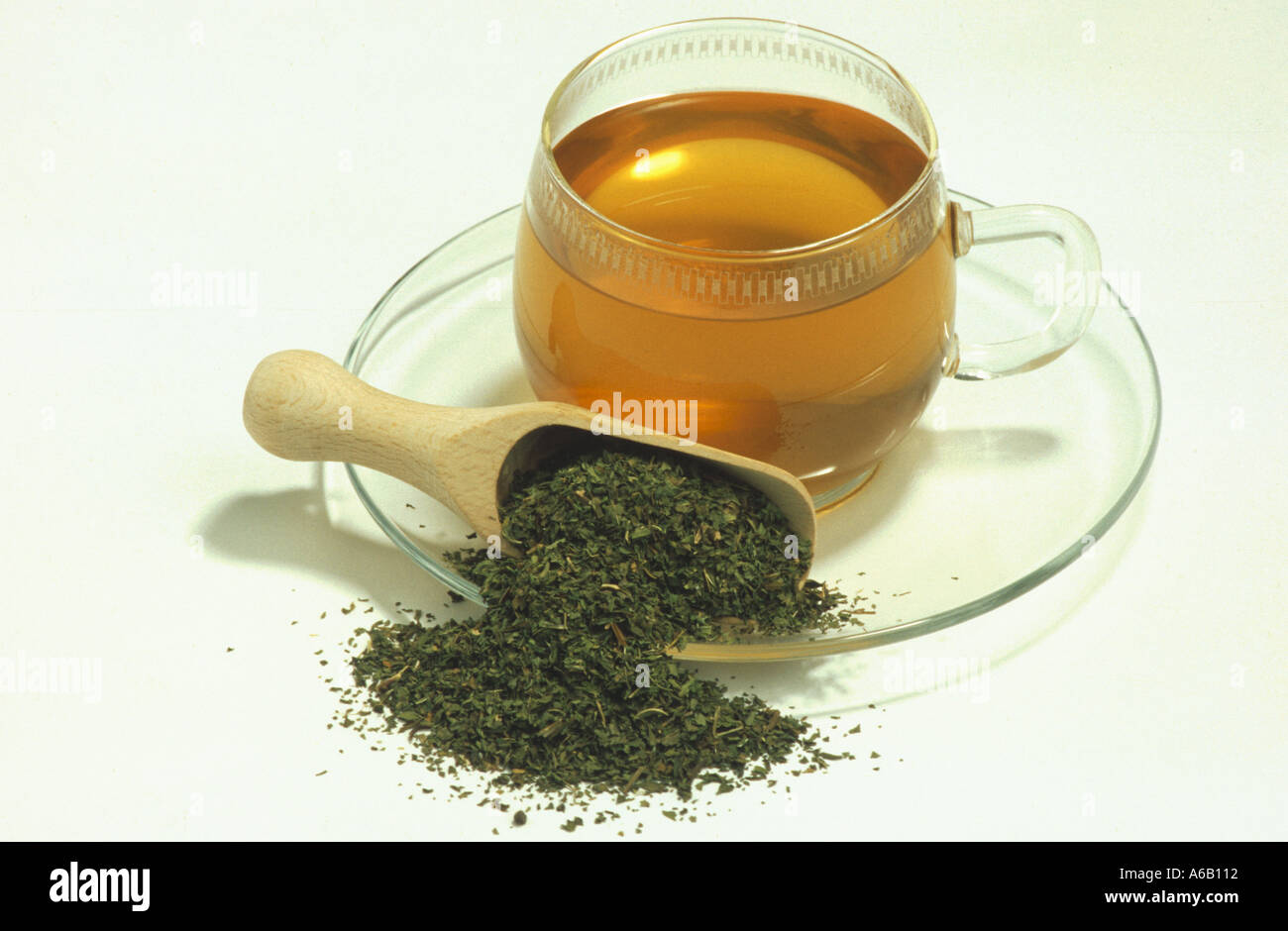 tea cup of tea peppermint tea mentha Stock Photo - Alamy