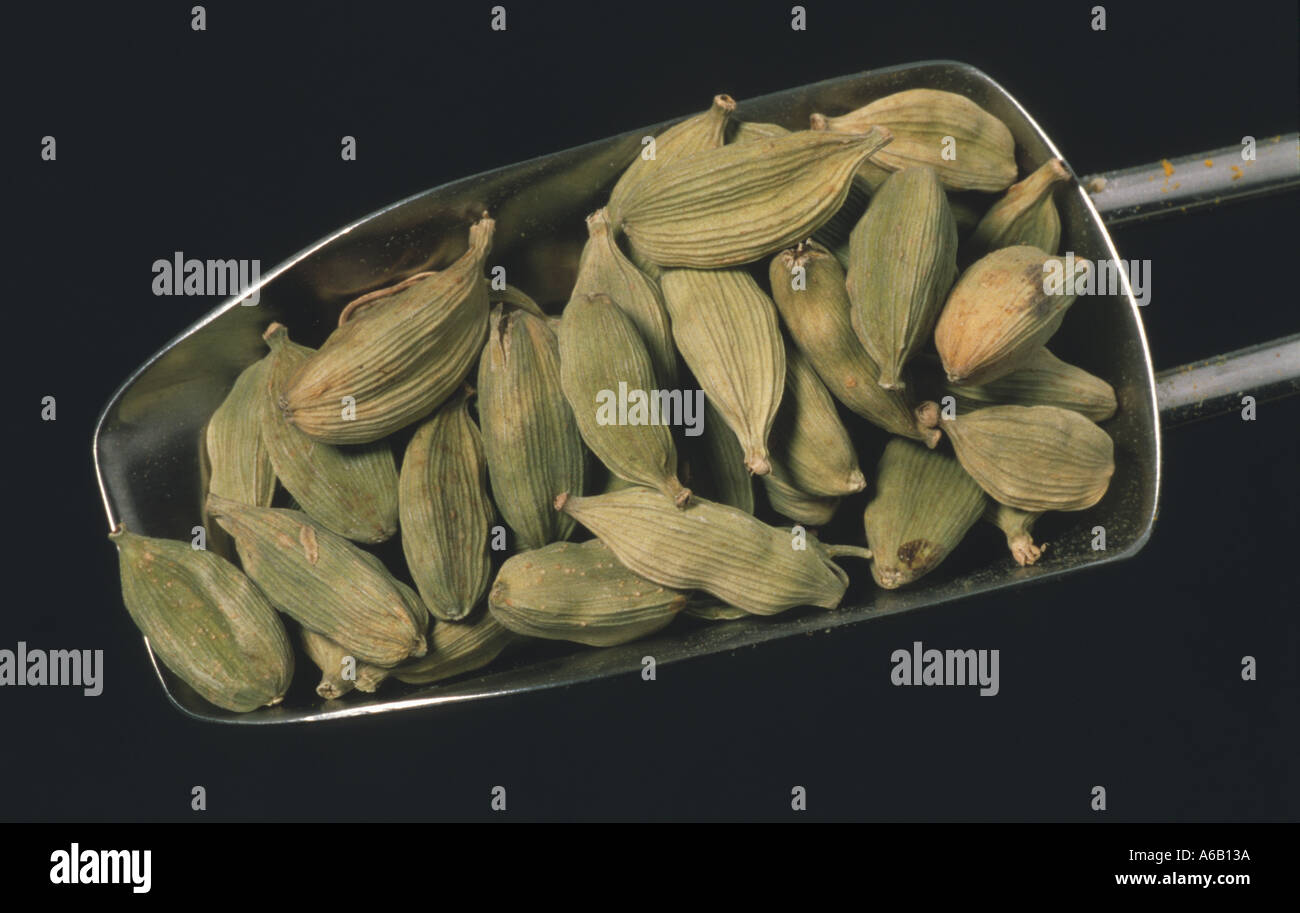 Gruner kardamon hi-res stock photography and images - Alamy