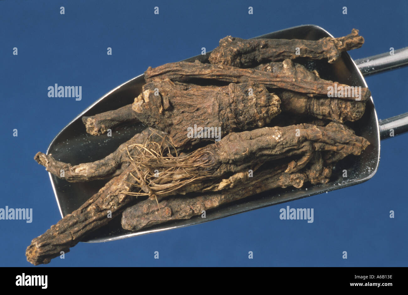 Kwei hi-res stock photography and images - Alamy
