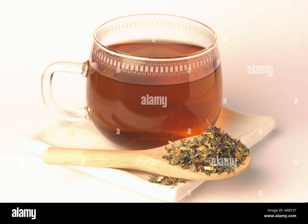 Veronicatea hi-res stock photography and images - Alamy