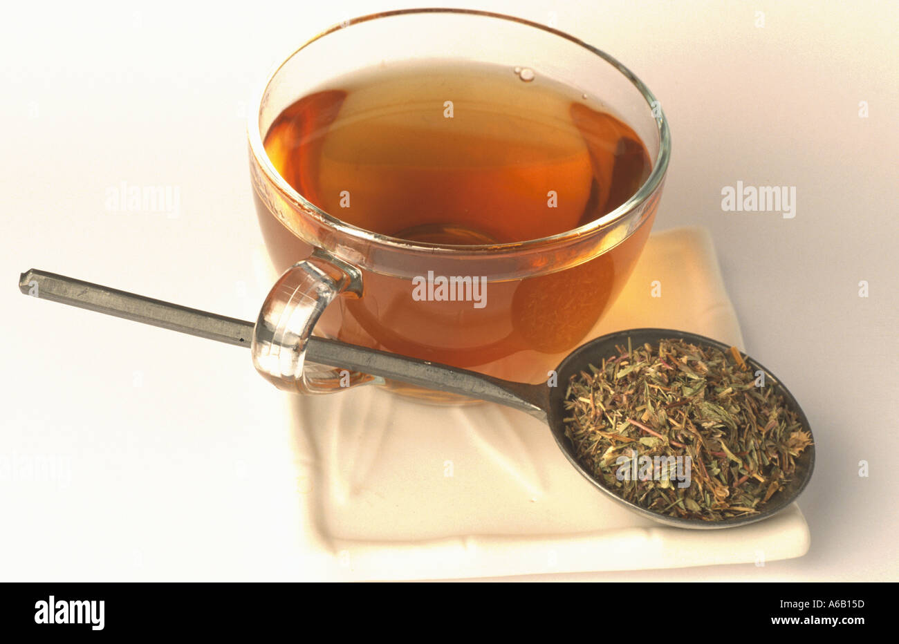 quendel tee tea thymus serpyllum Stock Photo - Alamy