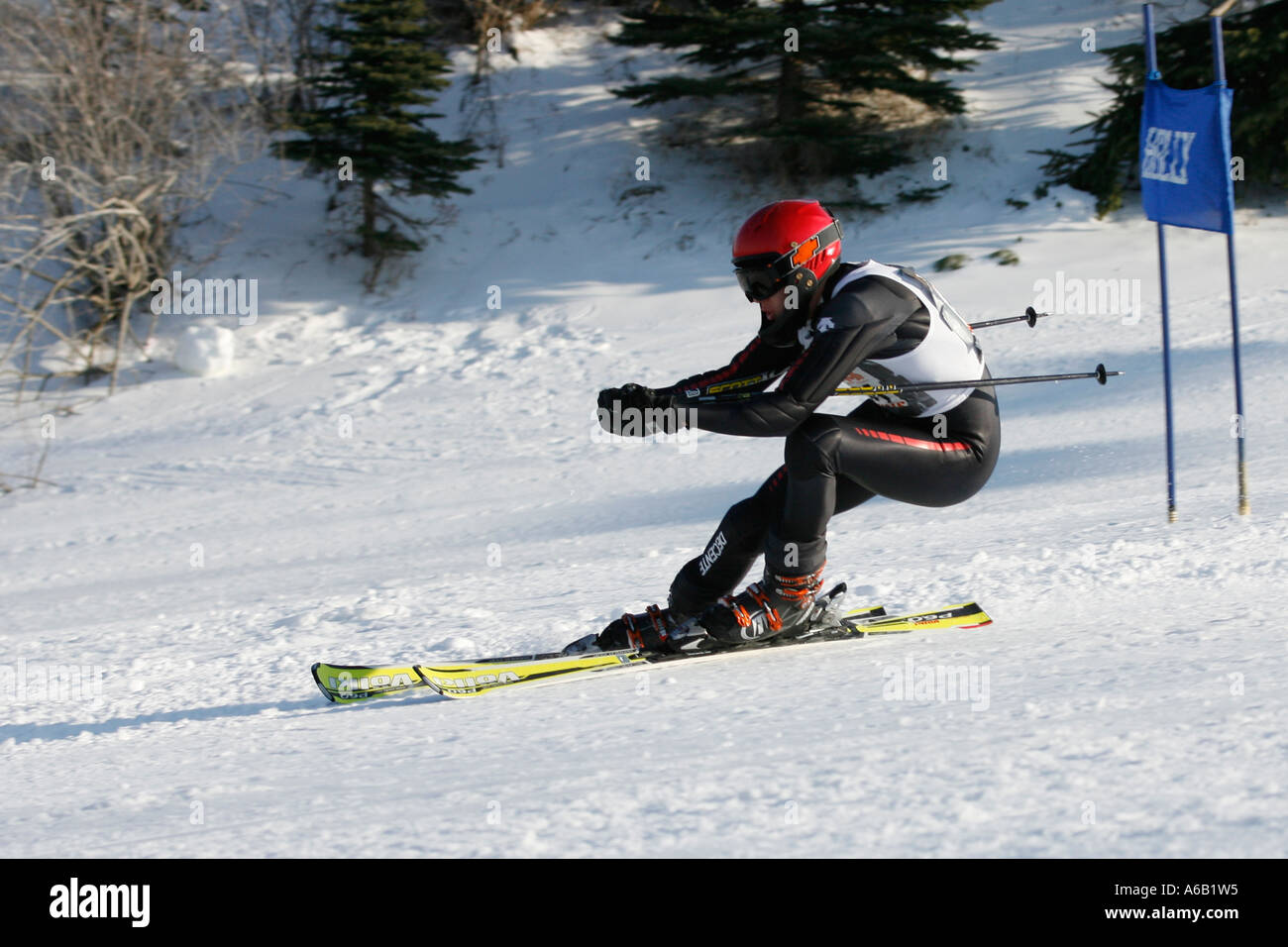 Ski race action Stock Photo - Alamy