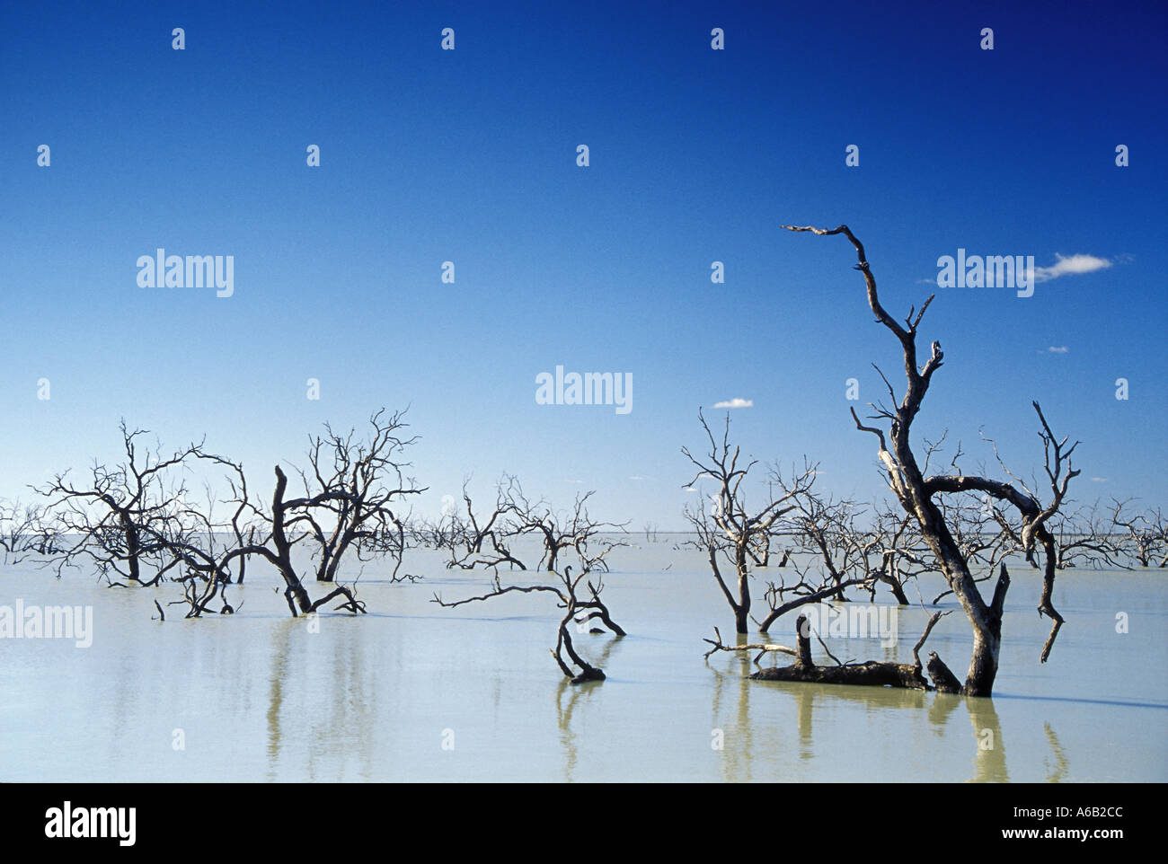 Kinchega National Park Menindee Lake New South Wales Australia Stock ...