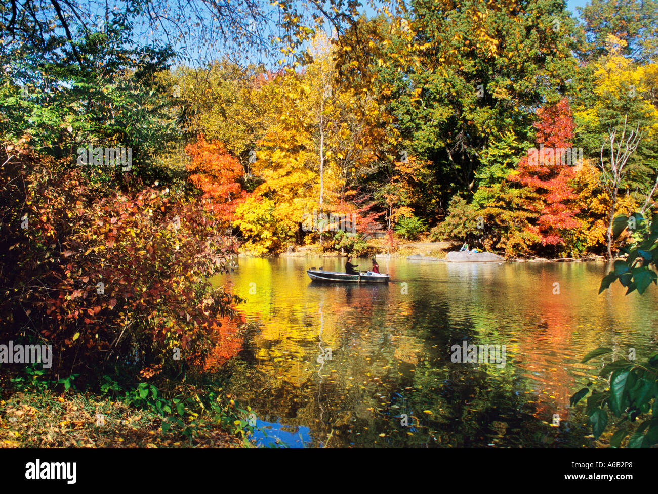 New York City Autumn foliage in Central Park, The Ramble and The Lake ...