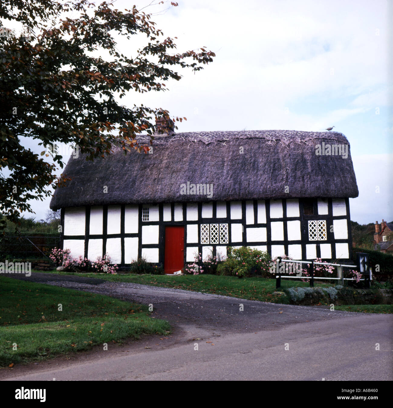 Wattle and daub thatched house hi-res stock photography and images - Alamy