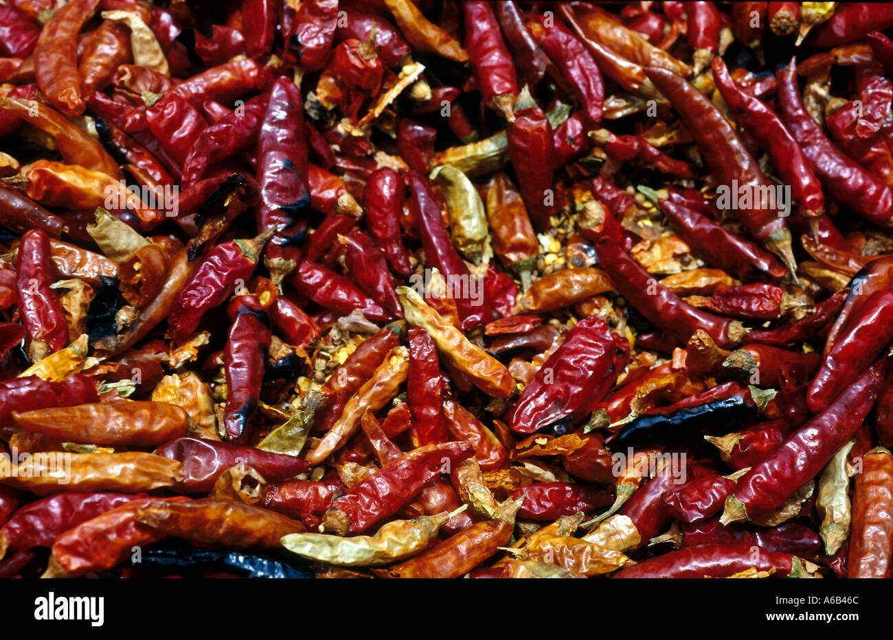 Chillies drying in sun India Stock Photo - Alamy