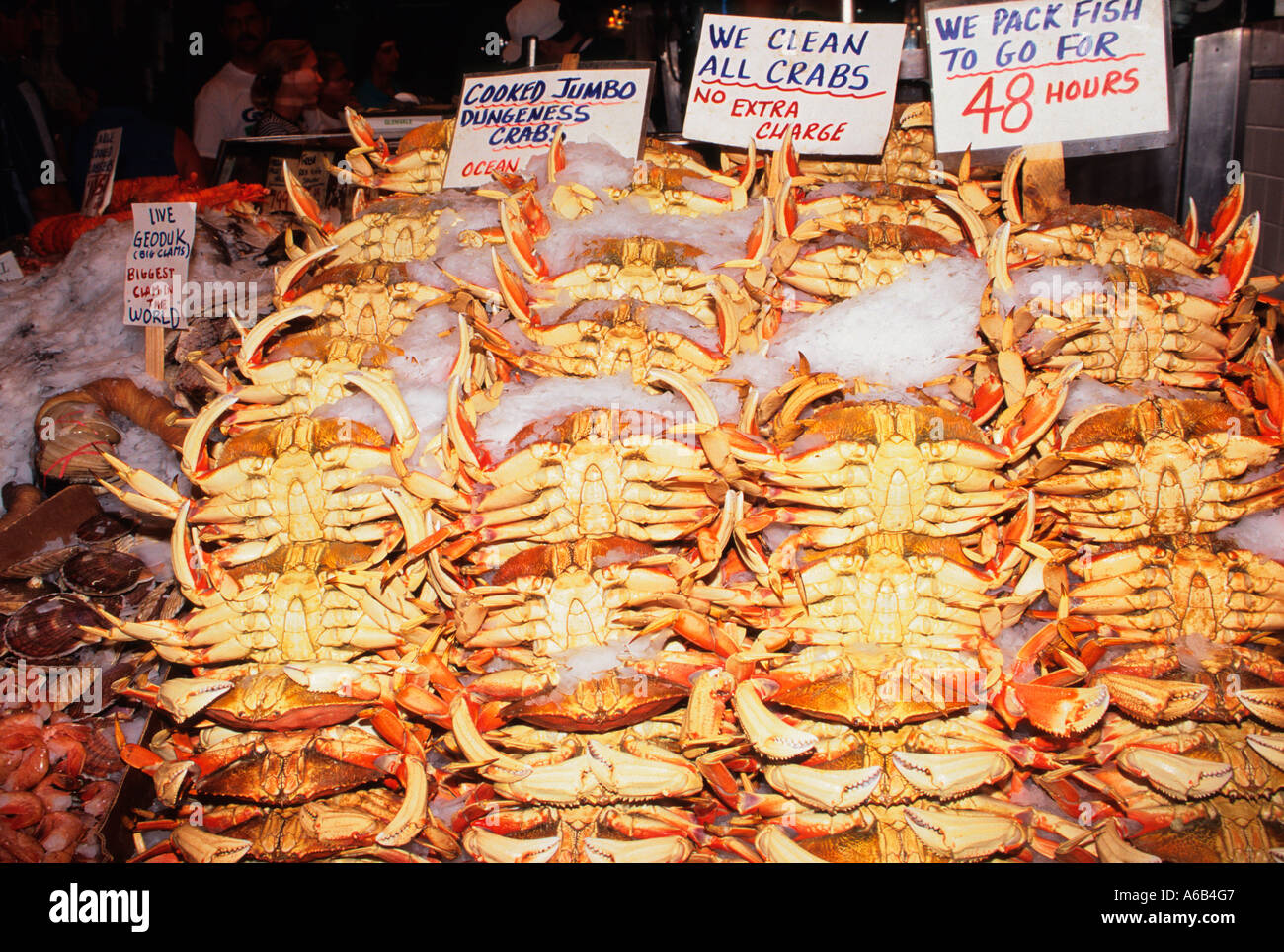 USA Pacific Northwest Seattle Washington Dungeness Crabs at Pike Place ...