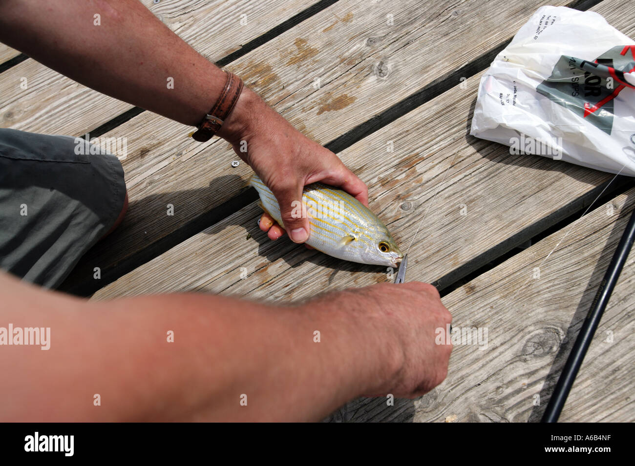 Man catching small fish Stock Photo - Alamy