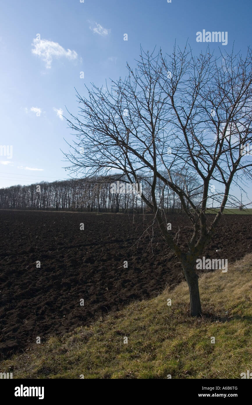 Dobrudja hi-res stock photography and images - Alamy