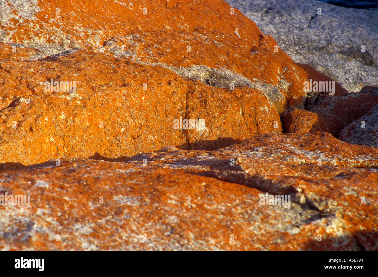 Orange rocks in Bicheno Beach Tasmania Stock Photo - Alamy