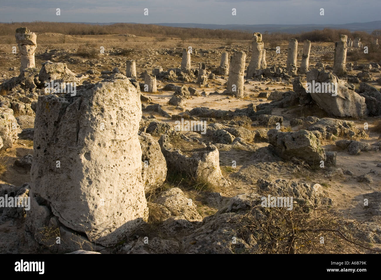 Pobiti Kamani, Nature phenomenon, standing stones, cylindrical ...