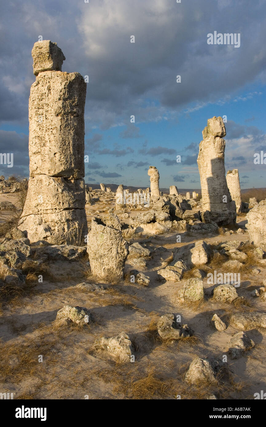 Pobiti Kamani, Nature phenomenon, standing stones, cylindrical ...
