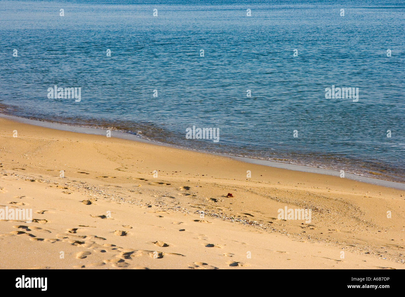 Sea, beach, sand, coastline of Golden sands Stock Photo - Alamy
