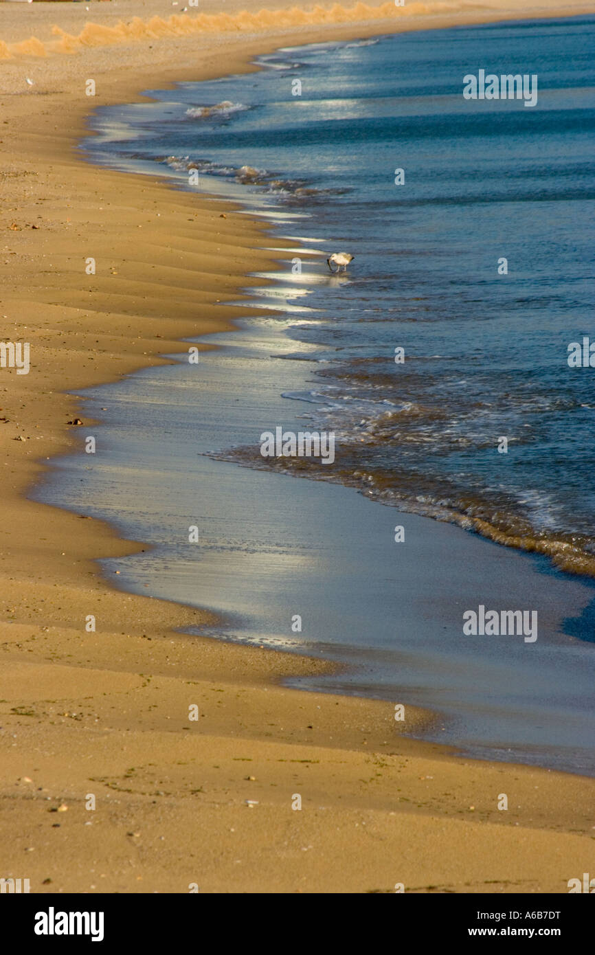 Sea, beach, sand, coastline of Golden sands Stock Photo - Alamy