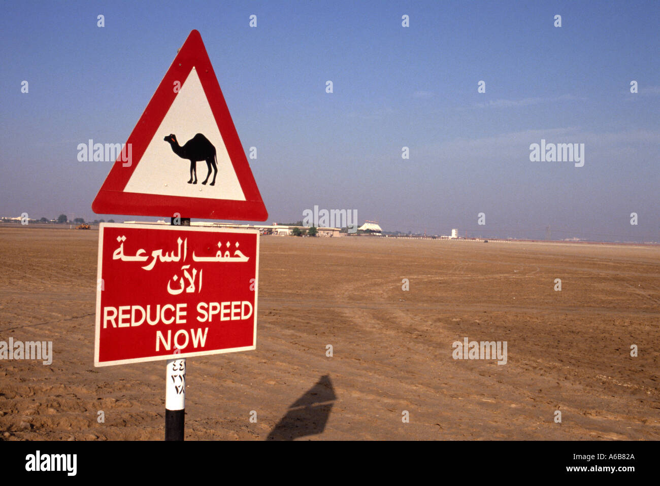 Camel road sign Dubai United Arab Emirates Stock Photo - Alamy