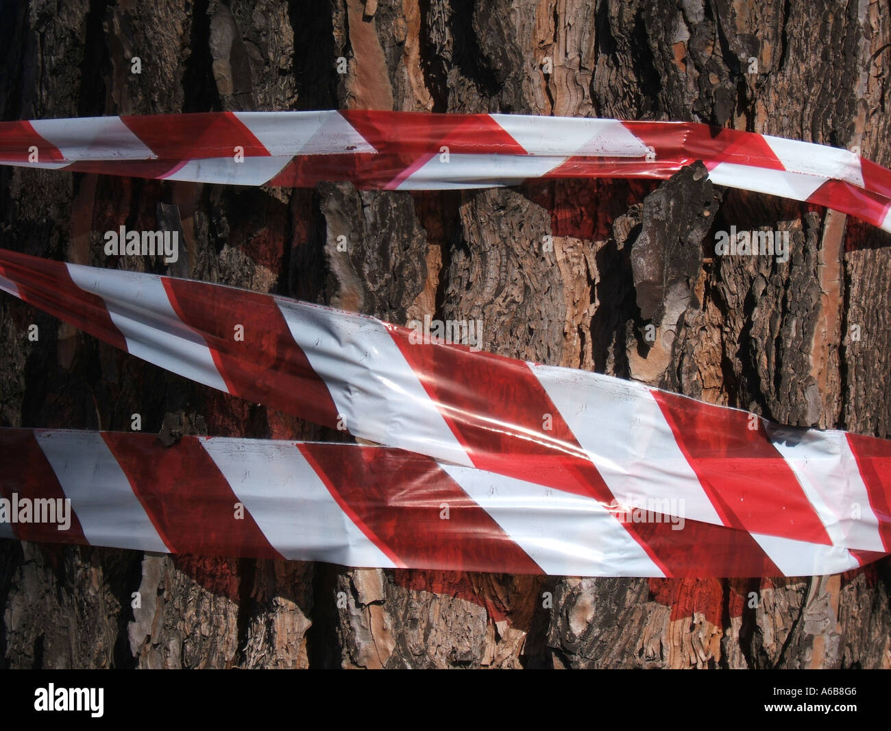 Cut red tape chain saw hi-res stock photography and images - Alamy
