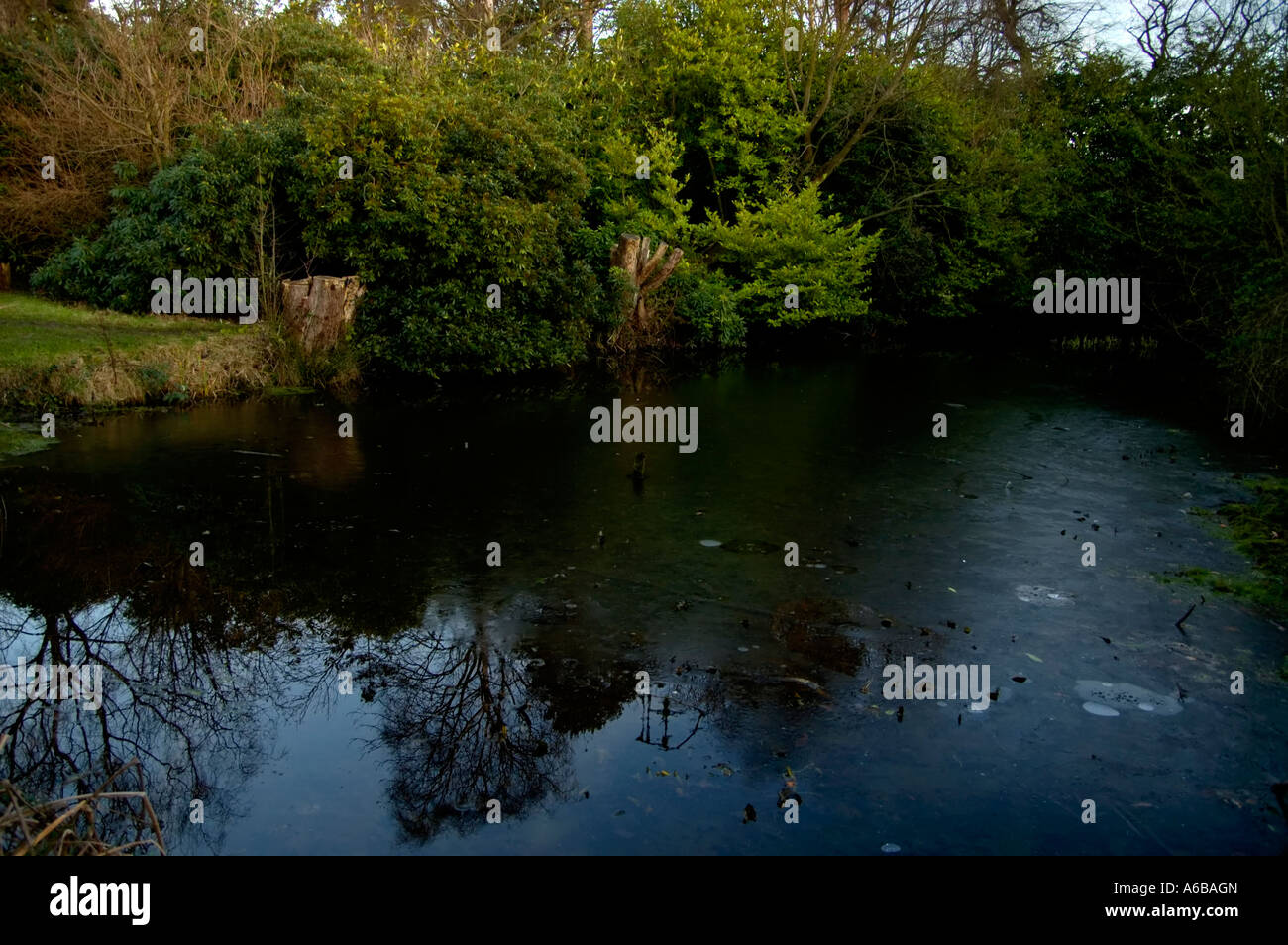 A small lake in highbury park in kings heath in the uk Stock Photo - Alamy