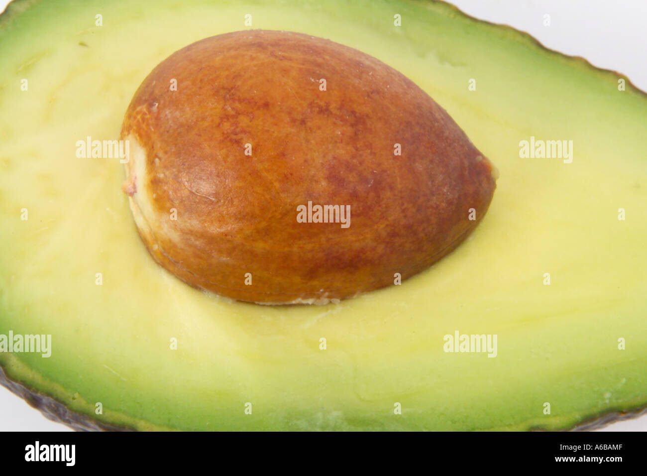 Advocado hi-res stock photography and images - Alamy
