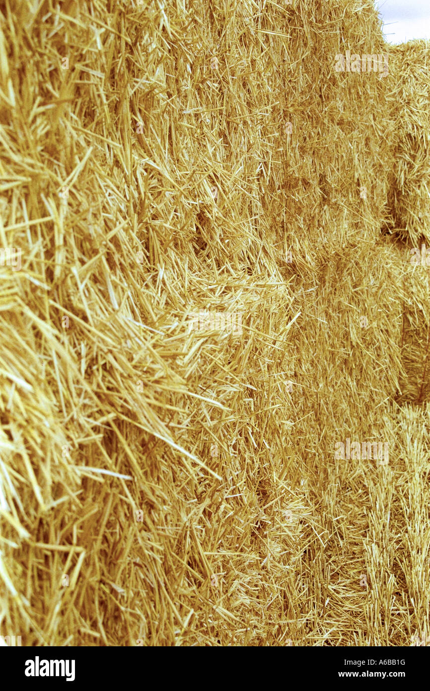 Bails in a field in england at harvest time Stock Photo - Alamy