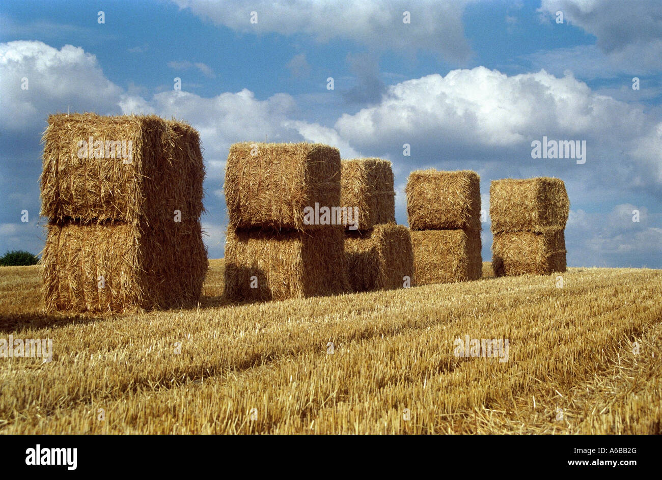 Bails in a field in england at harvest time Stock Photo - Alamy