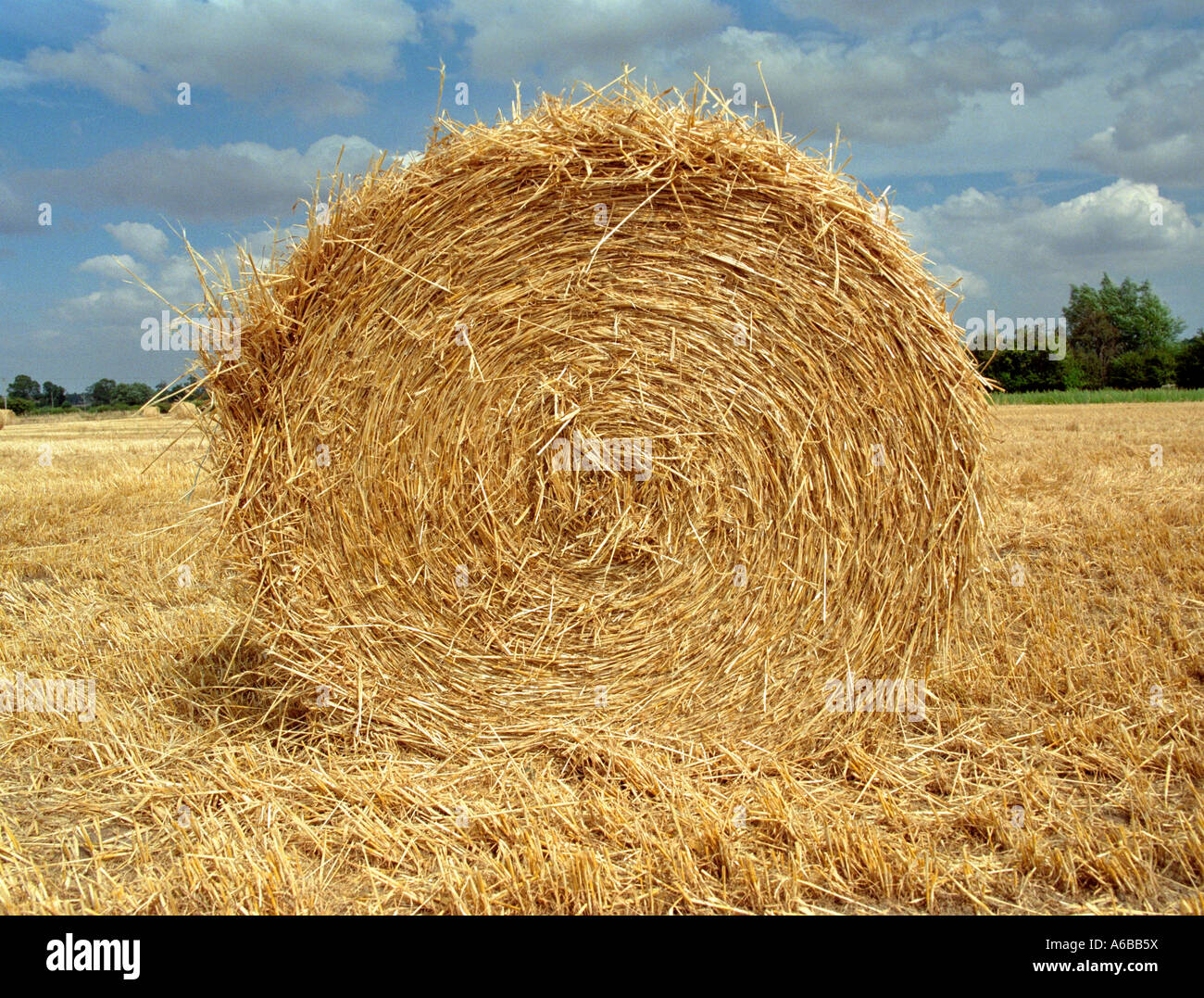 Crop circles in wheat field hi-res stock photography and images - Alamy