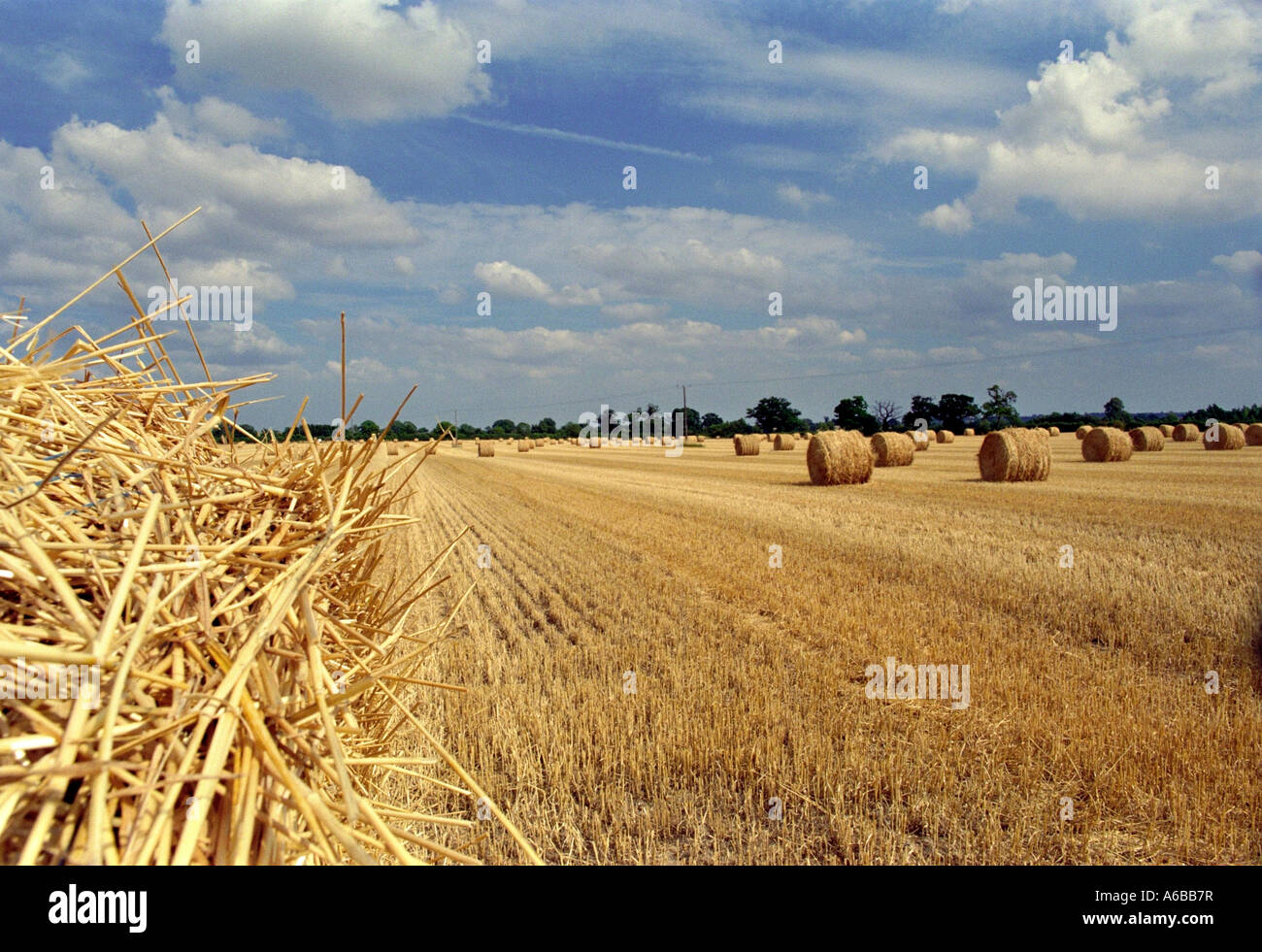 Crop circles in wheat field hi-res stock photography and images - Alamy