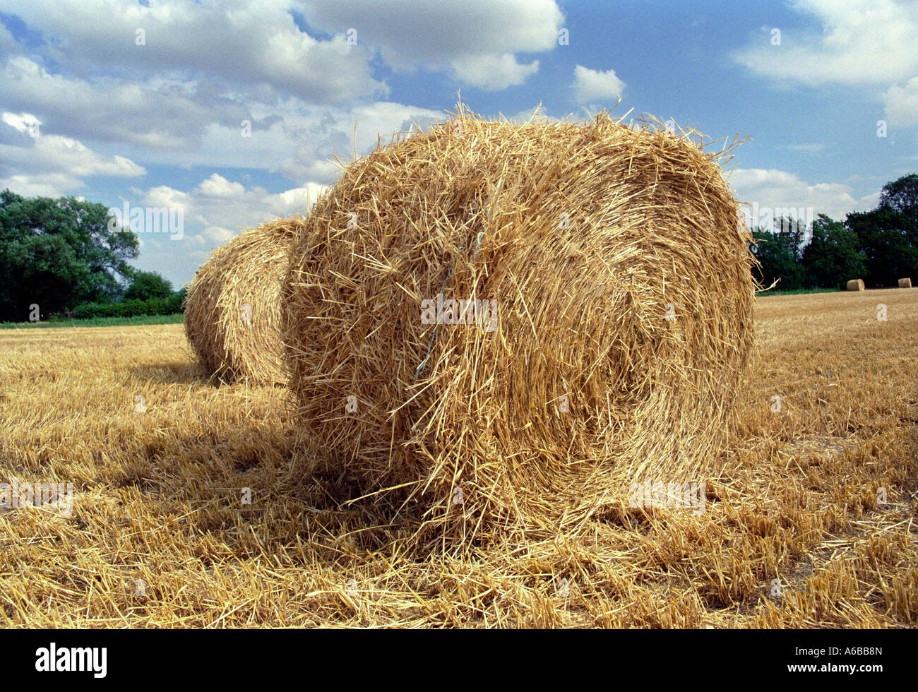 Crop circles in wheat field hi-res stock photography and images - Alamy