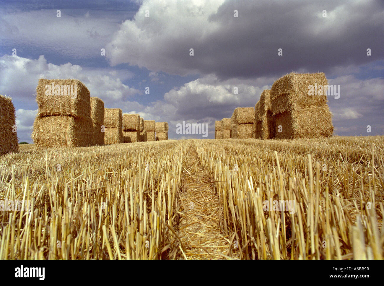Crop circles in farm field hi-res stock photography and images - Alamy