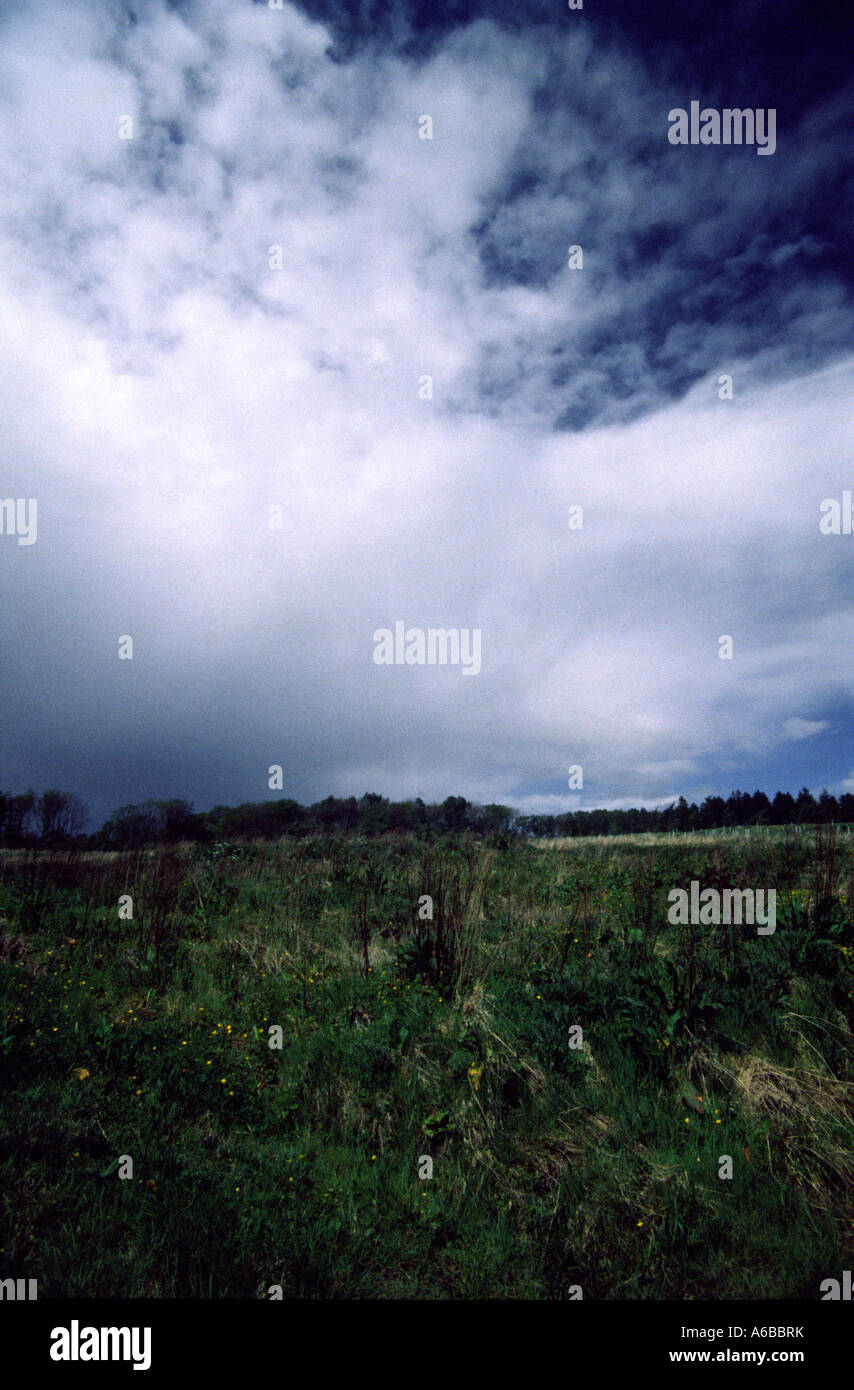 A barren dark brooding landscape in the summer near newcastle Stock ...