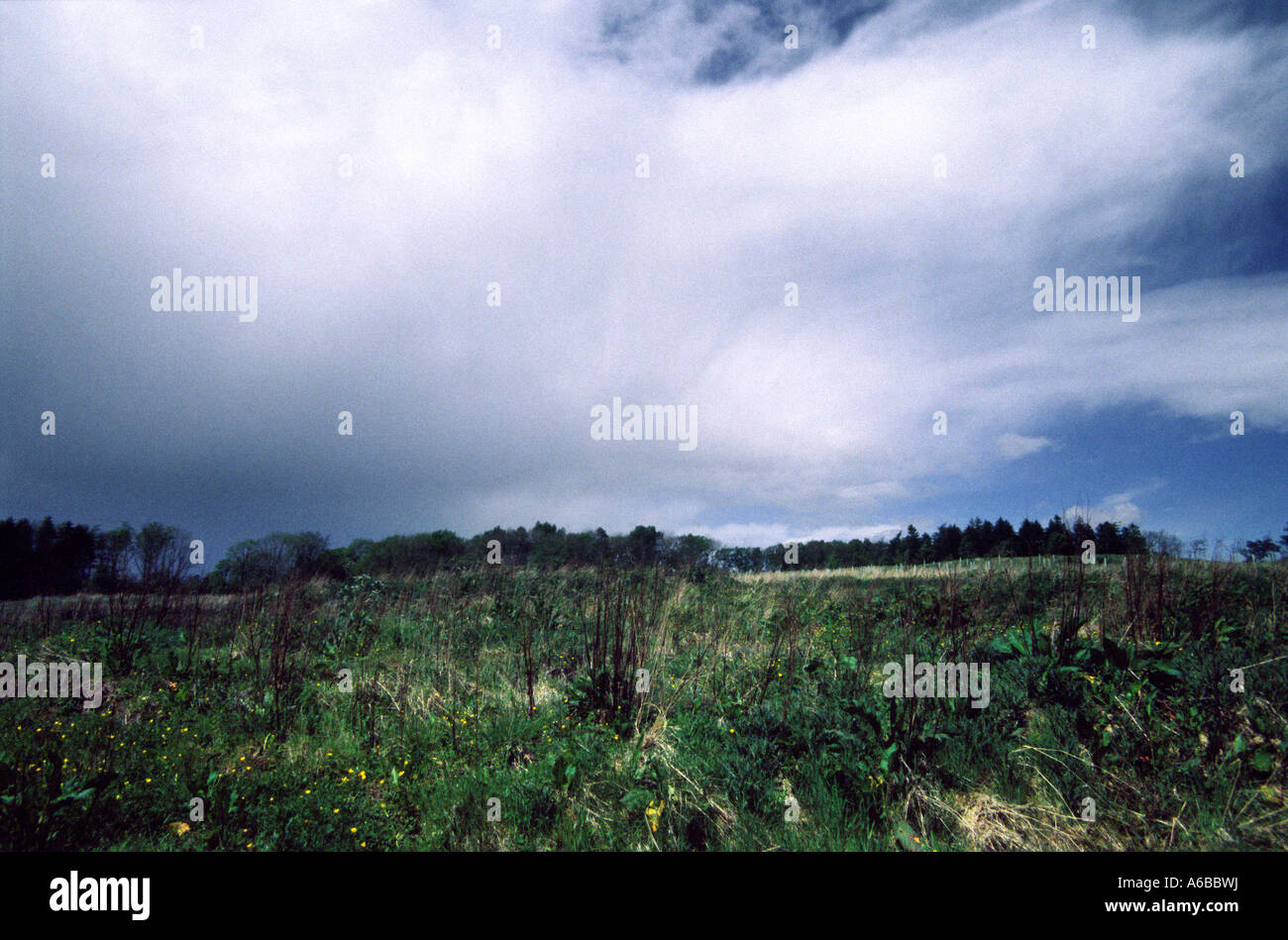 A barren dark brooding landscape in the summer near Newcastle Stock ...