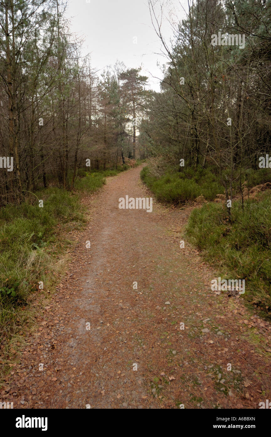 Long distance cycle paths hi-res stock photography and images - Alamy
