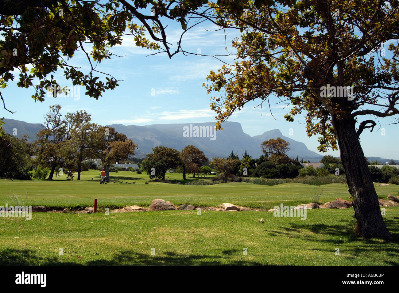 Steenberg Wine estate in Constantia western cape South Africa Golfers ...