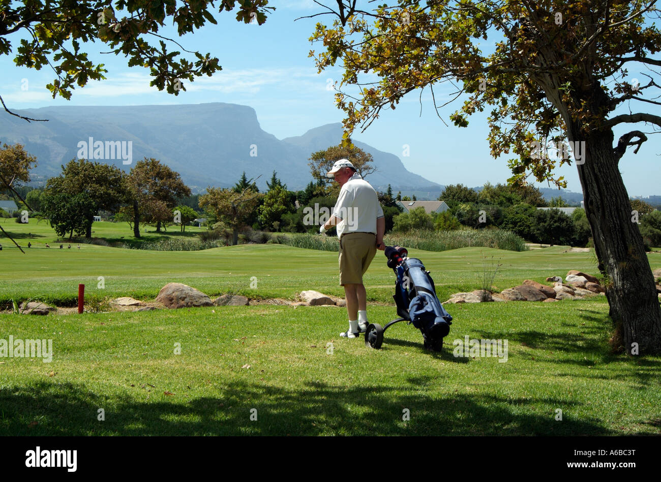 Steenberg Wine estate in Constantia western cape South Africa Golfer on ...