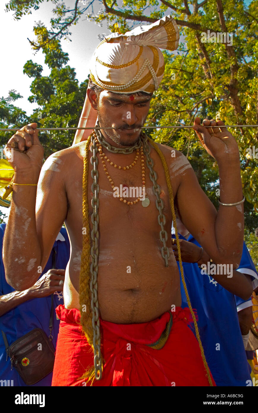 Devotees of the Lord Murugan celebrate Thaipusam 1st February 2007 in ...