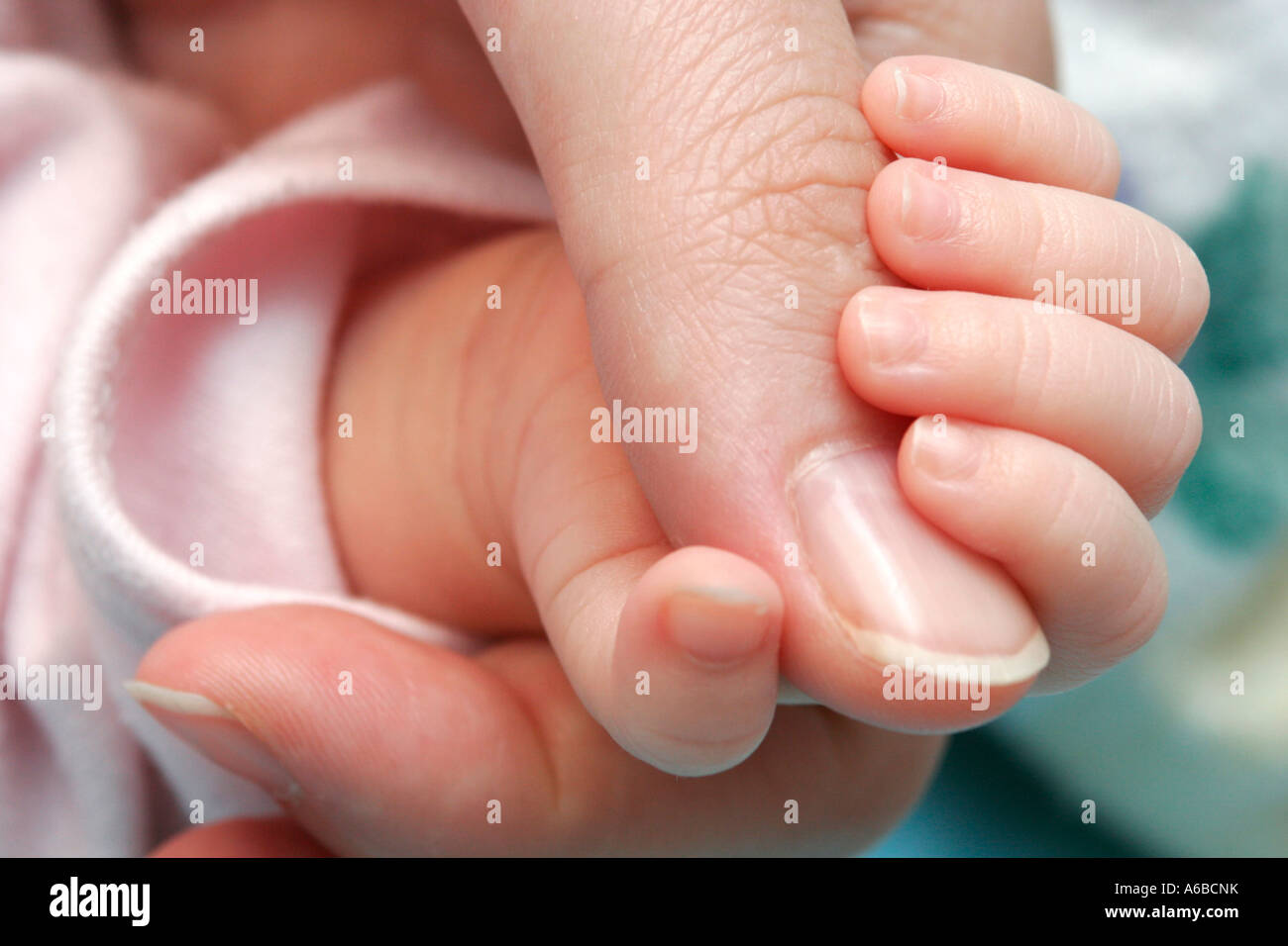Baby holding mothers finger Stock Photo - Alamy