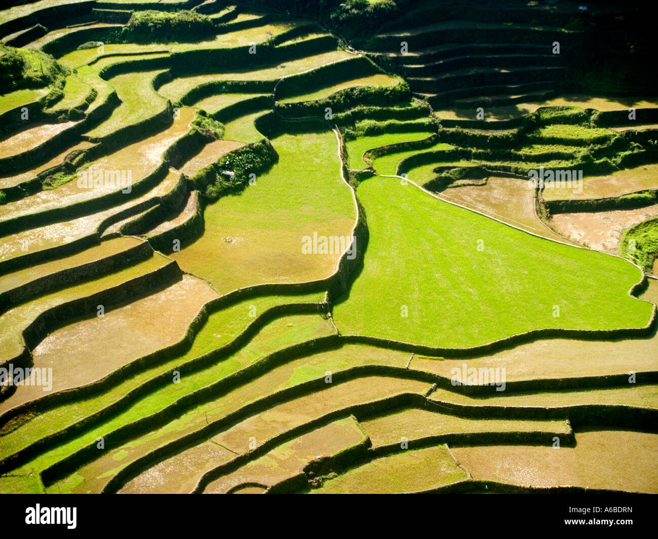 northern Philippines amazing rice terraces near Banaue Luzon Stock ...