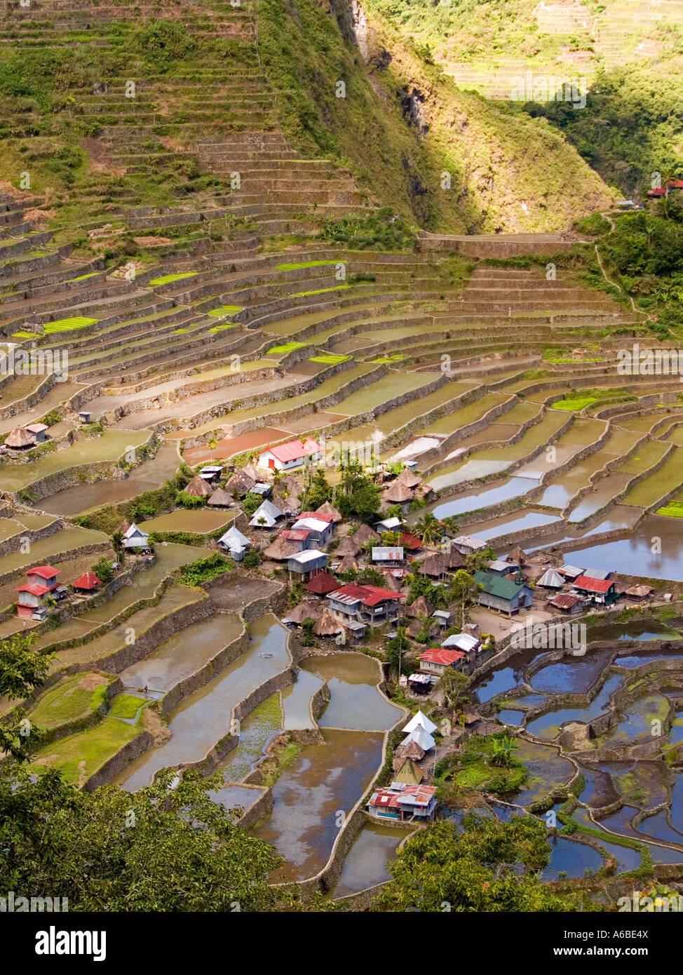 Ifugao tribe hi-res stock photography and images - Alamy