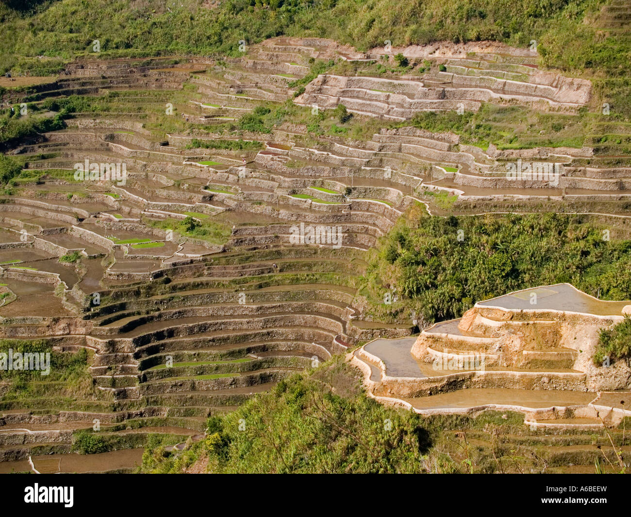 Stone walled rice terraces UNESCO World Heritage Site Malingcong ...