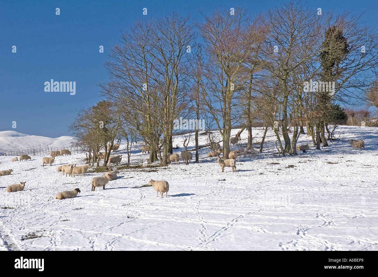 Snowy welsh landscapes hi-res stock photography and images - Alamy
