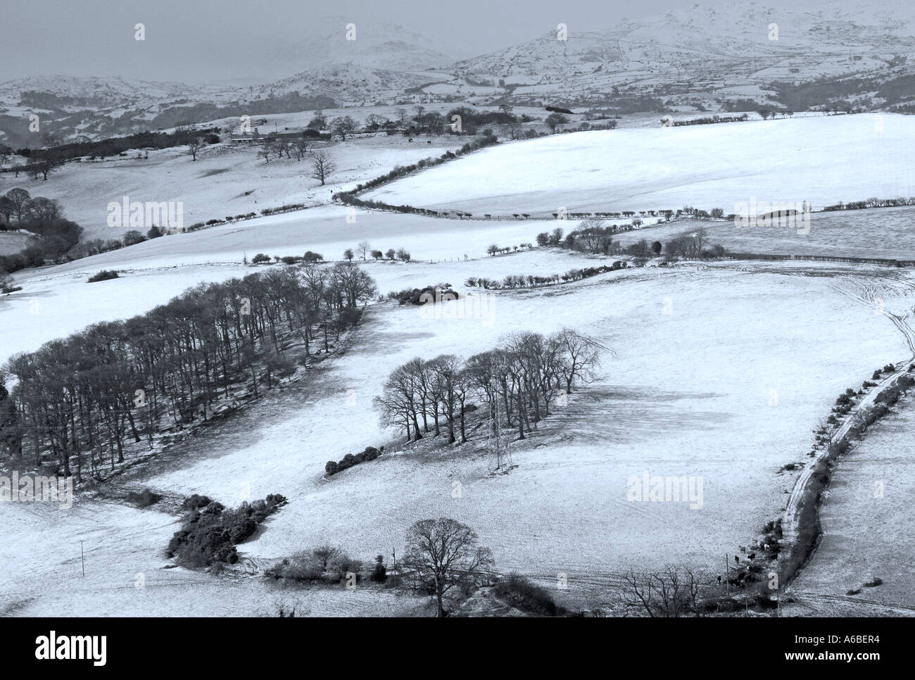 Black and white Snow Scene Stock Photo - Alamy