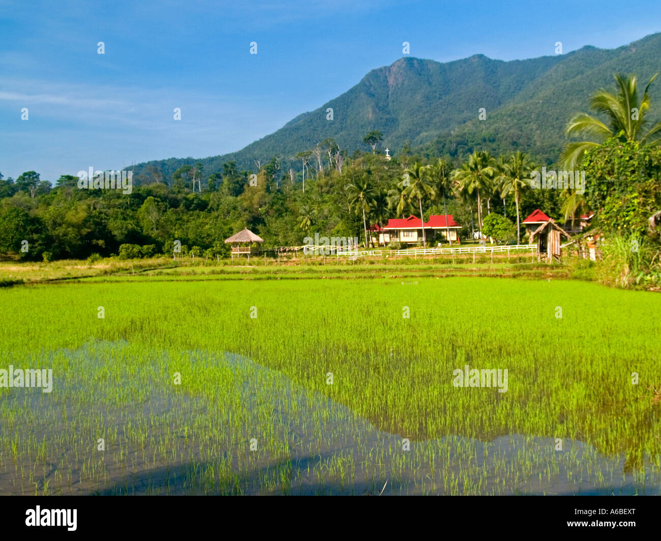 verdant tropics rural landscape of Palawan Philippines Stock Photo - Alamy