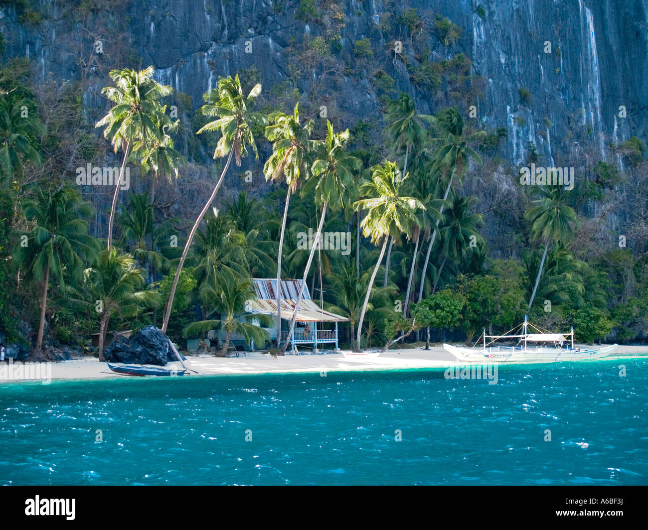 tropical paradise quiet island in the Bacuit Archipelago Palawan ...