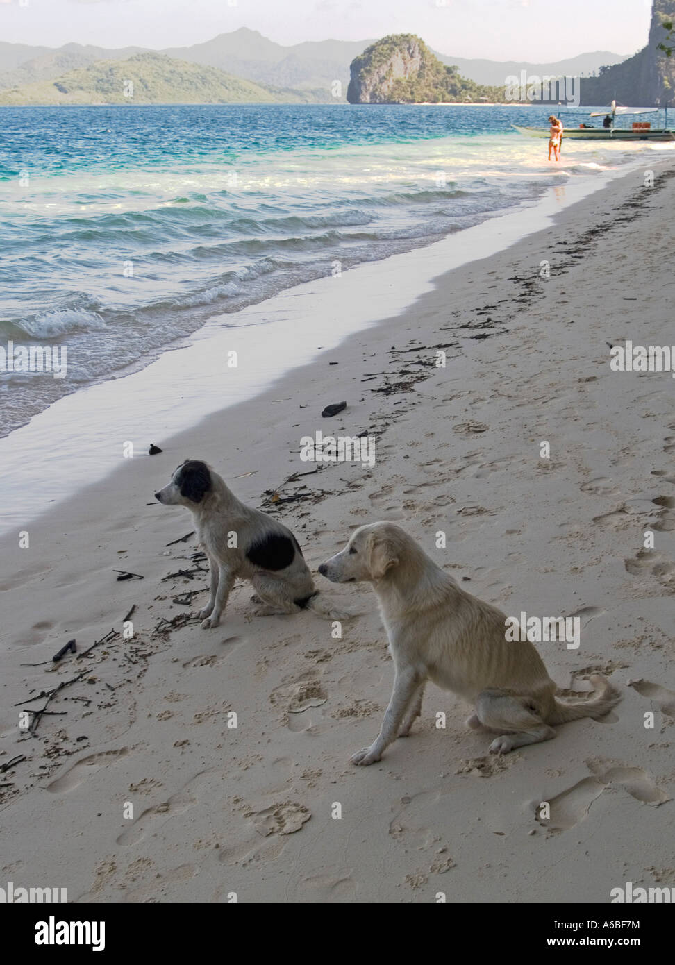 Sea dogs ship hi-res stock photography and images - Alamy